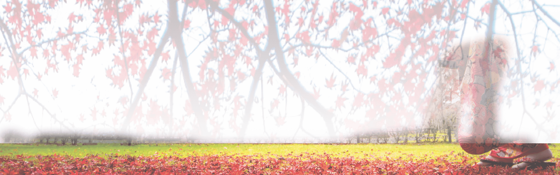 MDSR 2024 | MDS Regional Symposium